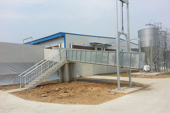 Galvanized Steel Structure Poultry House GB Standard